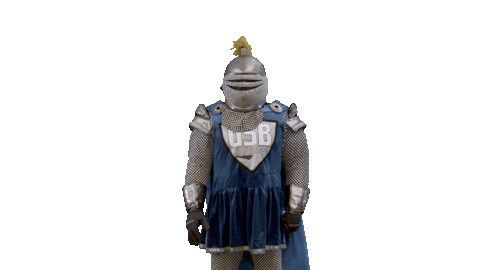 Let's Go Knights! GIFs on GIPHY - Be Animated