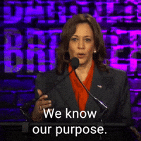 What-is-the-purpose GIFs - Get the best GIF on GIPHY