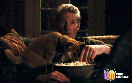 Hachiko GIF by Mi Señal - Find & Share on GIPHY