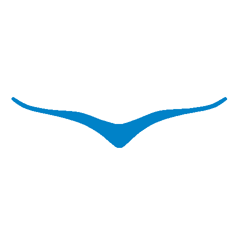 Hoka Logo
