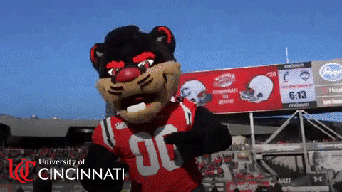 uofcincy GIF - Find & Share on GIPHY