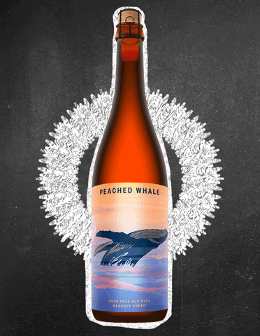 Drake's Brewing Co. GIFs on GIPHY - Be Animated