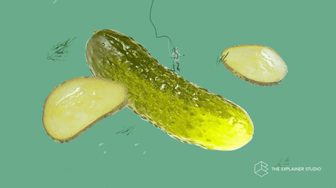 Animation Pickle GIF by The Explainer Studio - Find & Share on GIPHY