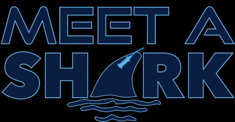 Sweeping Ocean GIFs - Get the best GIF on GIPHY