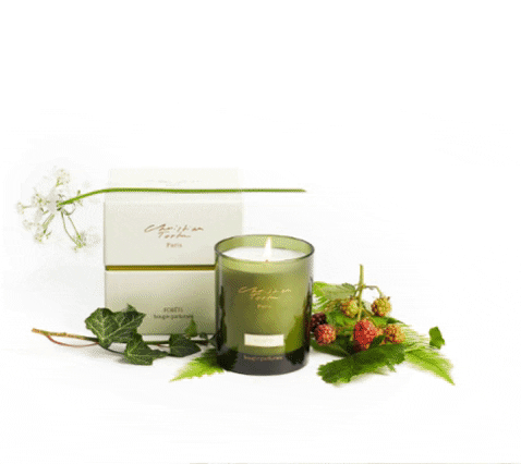 Boys In The Oud GIFs - Get the best GIF on GIPHY