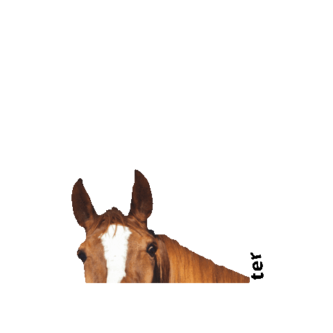 Doda Training Center GIFs on GIPHY - Be Animated