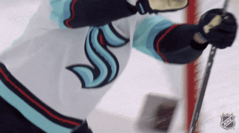NHL GIFs on GIPHY - Be Animated