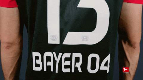 Happy Bayer 04 GIF by Bundesliga - Find & Share on GIPHY