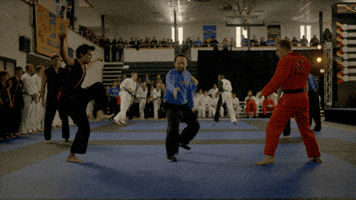 Cobra Kai GIF by NETFLIX - Find & Share on GIPHY