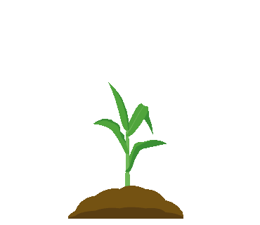 Ag Campo Sticker by Sementes Agroceres for iOS & Android | GIPHY