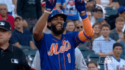 Celebrate Ny Mets GIF by New York Mets - Find & Share on GIPHY