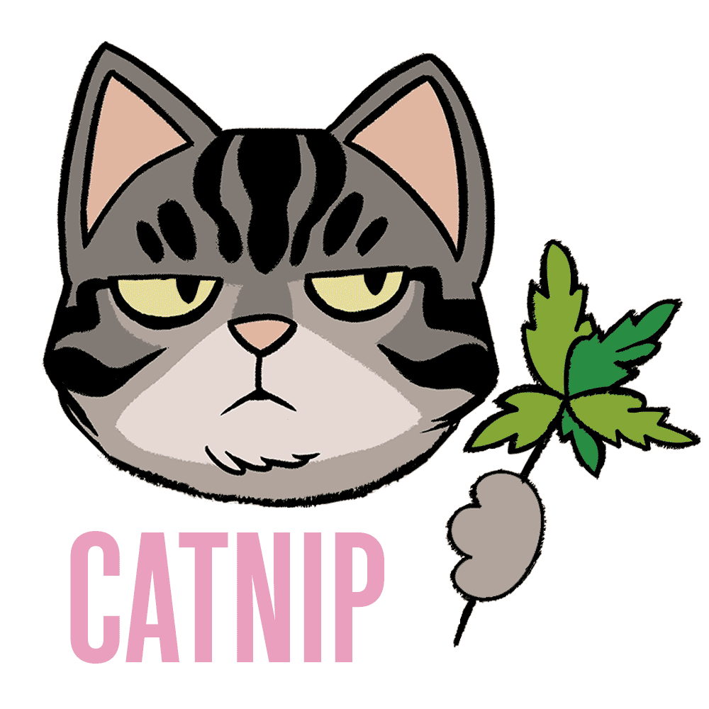 Cat Sticker for iOS & Android | GIPHY