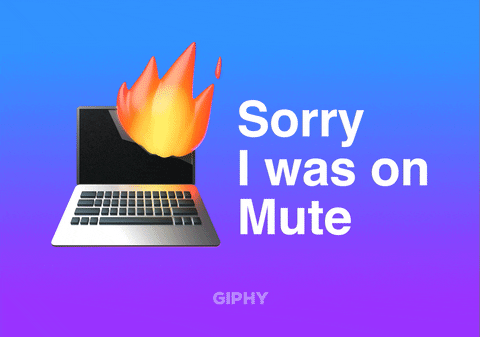 Zoom-conference GIFs - Get the best GIF on GIPHY