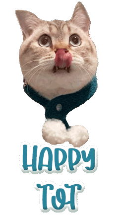 Happy Cat Sticker for iOS & Android | GIPHY