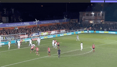 Liverpool Ecfc GIF by Exeter City Football Club - Find & Share on GIPHY