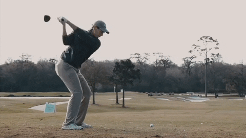 Rice Golf GIFs - Get the best GIF on GIPHY