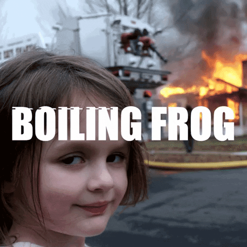 Boiling-frog GIFs - Get the best GIF on GIPHY