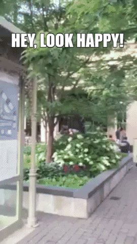 Hey Look Happy GIFs - Get the best GIF on GIPHY