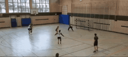 TSG 1861 Taucha - Abt. Handball GIF - Find & Share on GIPHY