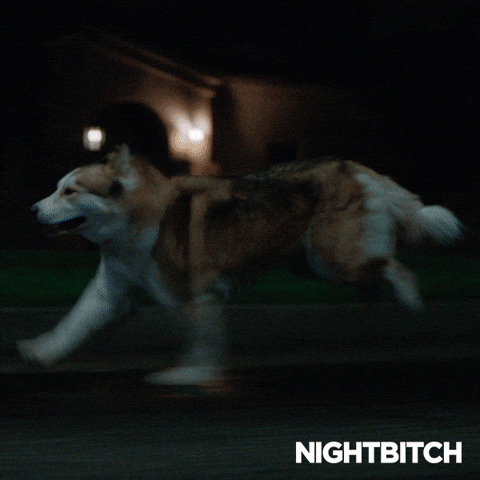 Nightbitch GIFs on GIPHY - Be Animated