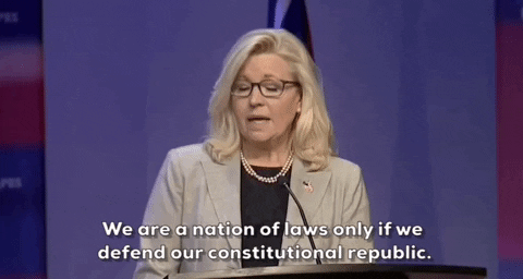 Liz Cheney Gop GIF by GIPHY News - Find & Share on GIPHY