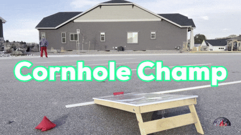 Yard-games GIFs - Get the best GIF on GIPHY