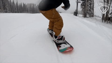 Winter-olympian GIFs - Get the best GIF on GIPHY