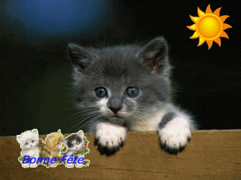 Bonne Fte GIFs - Get the best GIF on GIPHY