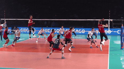 GIF by Volleyball World - Find & Share on GIPHY
