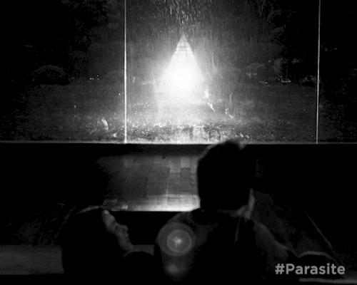 Black And White Parasite GIF by Madman Films - Find & Share on GIPHY