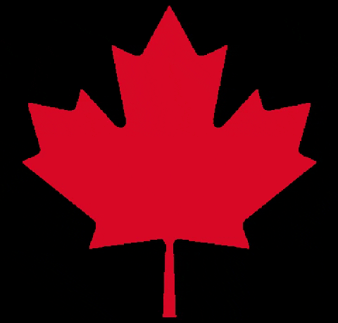Maple Leaf Canada GIF by Tim Hortons UK & IE - Find & Share on GIPHY