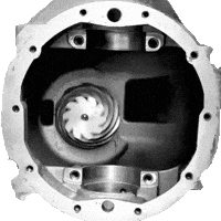 Differential Animated Gif