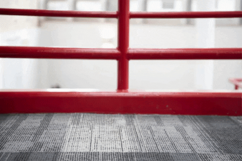 Sock Day GIFs - Get the best GIF on GIPHY