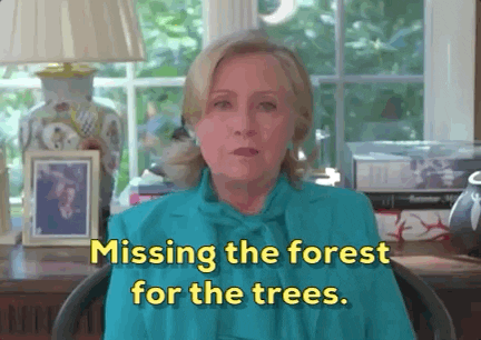 Forest For The Trees GIFs - Get the best GIF on GIPHY