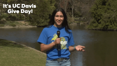 Picnic Day GIFs - Get the best GIF on GIPHY