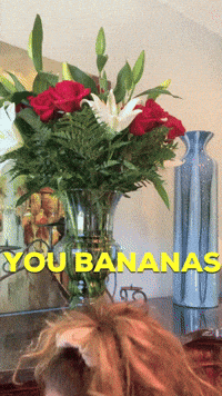 Infographic Definition Of Insanity Meme