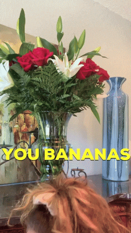 You Cray Cray GIFs - Get the best GIF on GIPHY