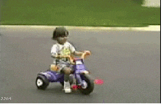 Bike-fall GIFs - Get the best GIF on GIPHY