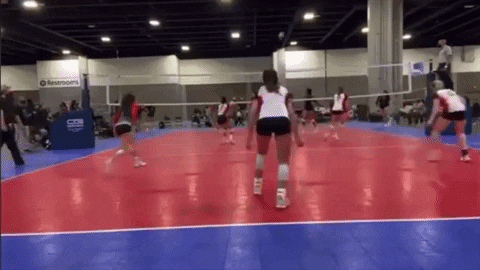 Middle Blocker GIFs - Get the best GIF on GIPHY