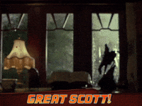Great Scott Gif