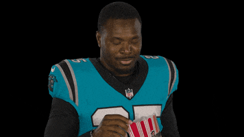 2023 Carolina Panthers GIFs on GIPHY - Be Animated