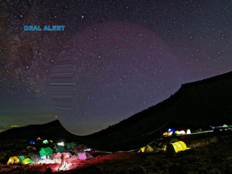 Safari Tour Operator GIFs - Get the best GIF on GIPHY