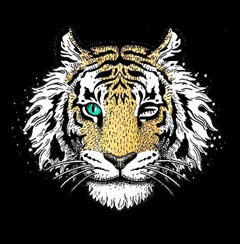 Tiger Wink GIFs - Get the best GIF on GIPHY