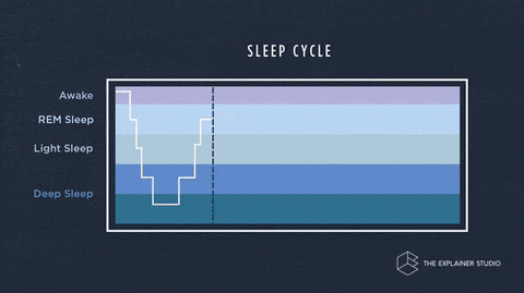 Sleep Cycle GIFs - Get the best GIF on GIPHY