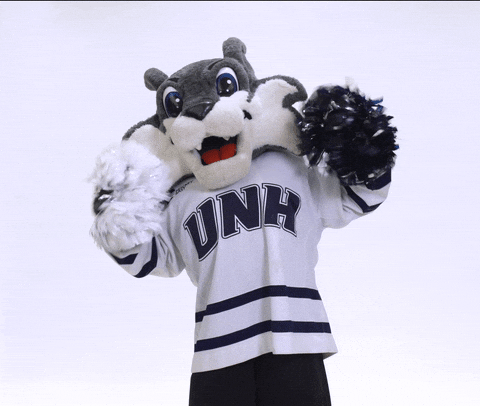Cheering Unh GIF by University of New Hampshire - Find & Share on GIPHY