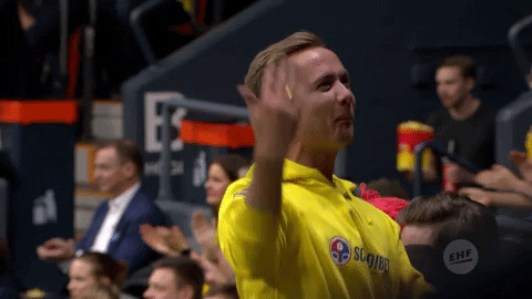 Swedish-fan GIFs - Get the best GIF on GIPHY