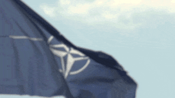 NATO GIFs GIFs on GIPHY - Be Animated