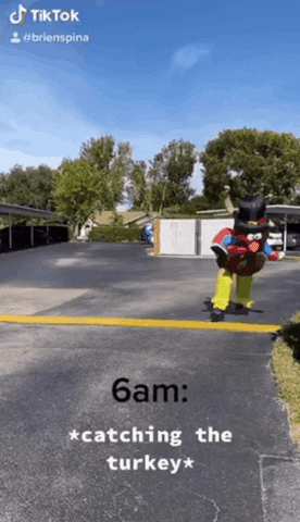 Turkey In The Oven GIFs - Get the best GIF on GIPHY