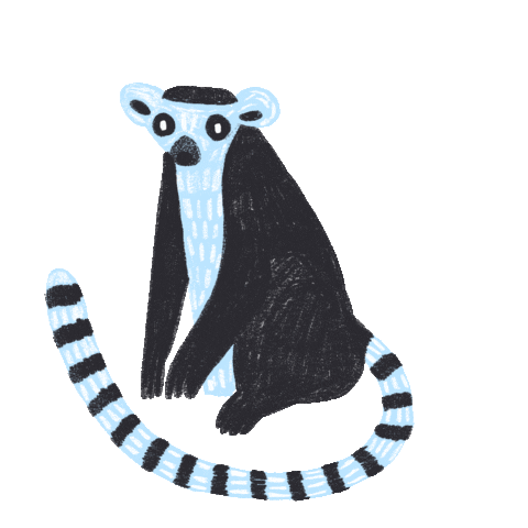 Dramatic Lemur Gif