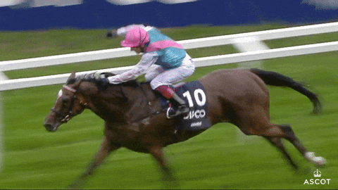 Horse Racing Gif